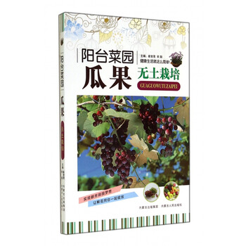 瓜果无土栽培(阳台菜园)