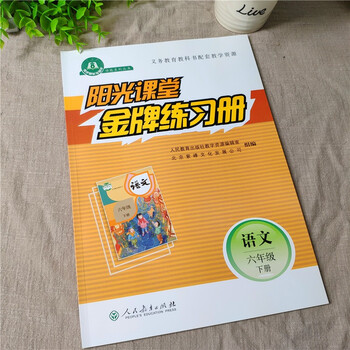 阳光课堂金牌练习册语文六年级下册6下人教版语文课本教材同步练习册阳光课堂部编版