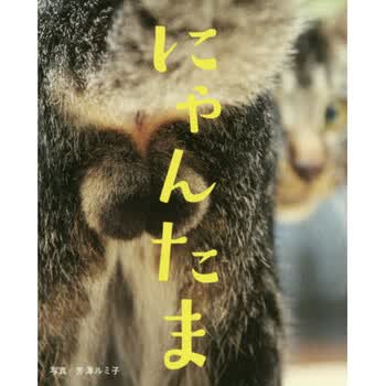 【中图日文】猫蛋蛋 影集 日文原版 设定集 にゃんたま 芳泽留美子 自由国民社 日本首本喵玉写真集