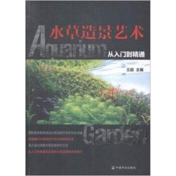 水草造景艺术:从入门到精通   王超主编