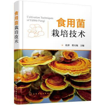 寻味米其林：米其林女孩的摘星笔记 凯迪 著 北京出版社 9787200159424
