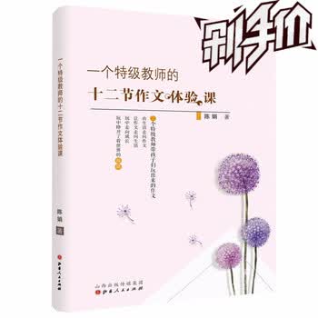 5折特惠 一个特级教师的十二节作文体验课