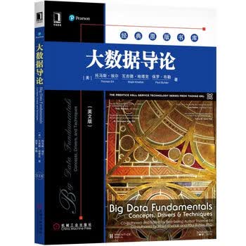 大数据导论（英文版）