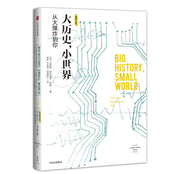大历史，小世界 从大爆炸到你（新思文库）中信出版社