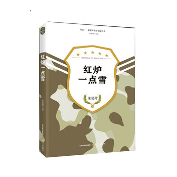红炉一点雪 小说 图书