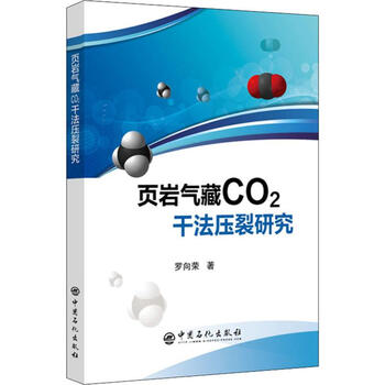 页岩气藏CO2干法压裂研究