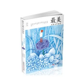 最美儿童文学读本—《夏天里的苹果梦》
