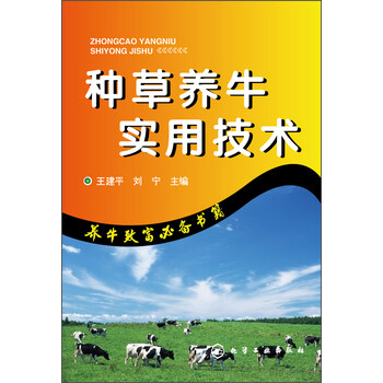 种草养牛实用技术