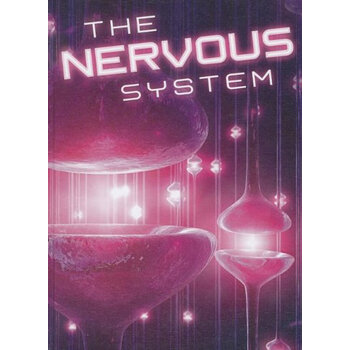 【】The Nervous System