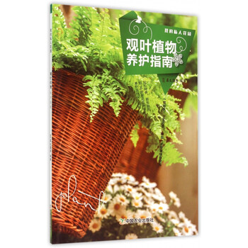 观叶植物养护指南(我的私人花园)