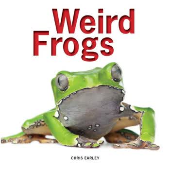 【】Weird Frogs