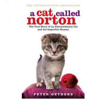 Cat Called Norton