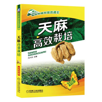 天麻高效栽培