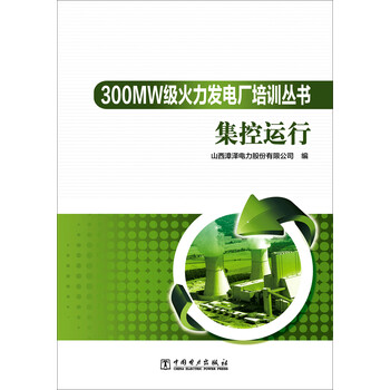 300MW级火力发电厂培训丛书 集控运行