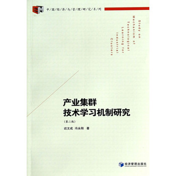 产业集群技术学习机制研究(第2版)/中国经济与管理研究系列