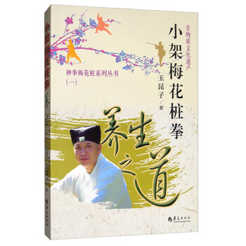 小架梅花桩拳：养生之道