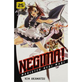 Negima! 25: Magister Negi Magi