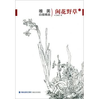 唯美白描精选：闲花野草（二）