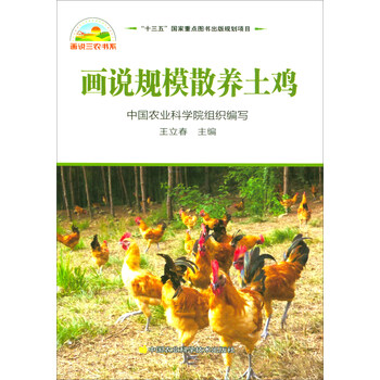 画说规模散养土鸡