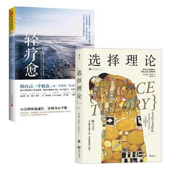 选择理论+轻疗愈