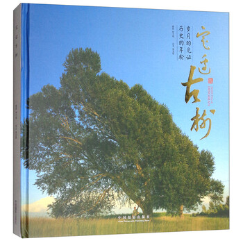 定边古树