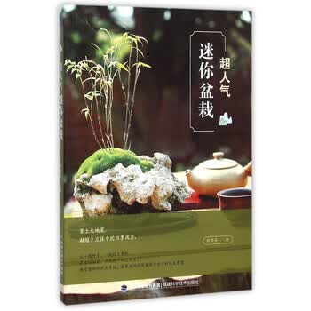 超人气迷你盆栽