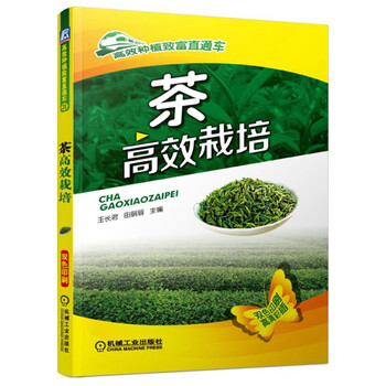 茶高效栽培（双色印刷 高清彩插）