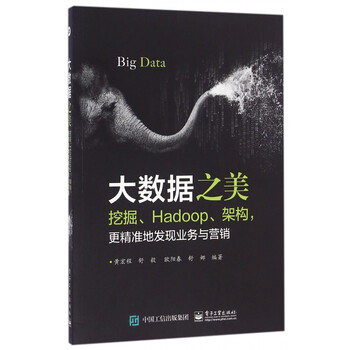 大数据之美(挖掘Hadoop架构更精准地发现业务与营销)