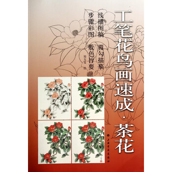 工笔花鸟画速成(茶花)