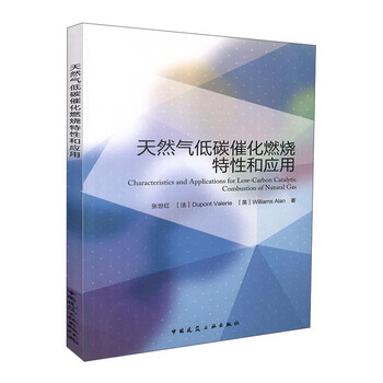 天然气低碳催化燃烧特性和应用