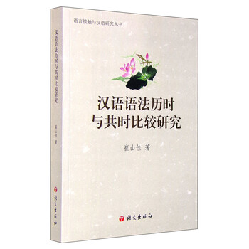语言接触与汉语研究丛书：汉语语法历时与共时比较研究