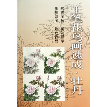 工笔花鸟画速成(牡丹)
