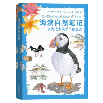海滨自然笔记：在海边发现季节的更迭