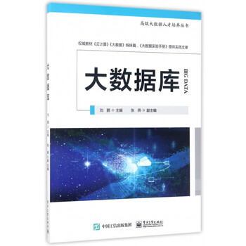 大数据库/高级大数据人才培养丛书