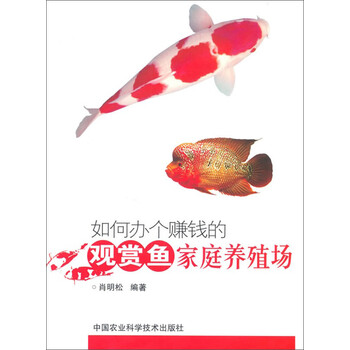 如何办个赚钱的观赏鱼家庭养殖场