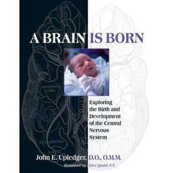 A Brain Is Born: Exploring the Birth and Dev...