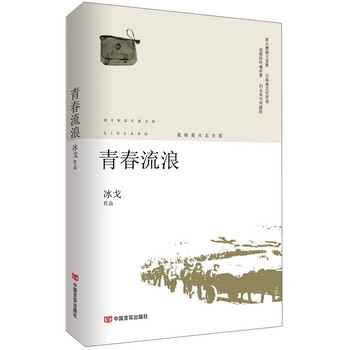 [正版图书]青春流浪