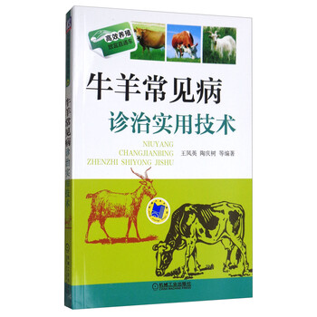 牛羊常见病诊治实用技/高效养殖致富直通车
