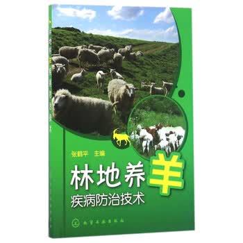 林地养羊疾病防治技术