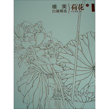 唯美白描精选：荷花（二）