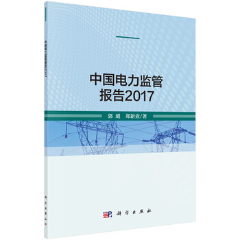 中国电力监管报告（2017）