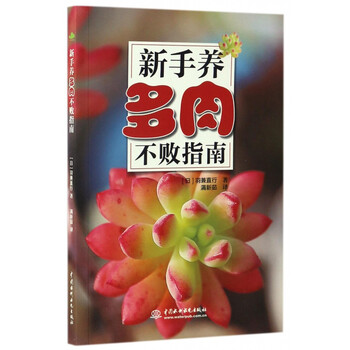 新手养多肉不败指南