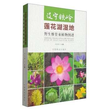 辽宁铁岭莲花湖湿地野生维管束植物图谱