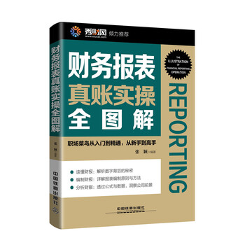 财务报表真账实操全图解  正版图书