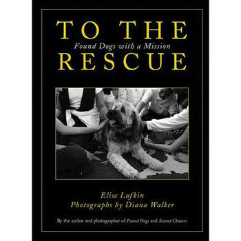 To the Rescue: Found Dogs with a Mission
