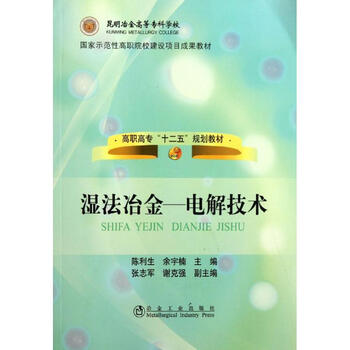 湿法冶金:电解技术(高职高专)
