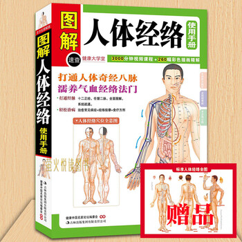 【赠穴位图】 图解人体经络使用手册 健康大学堂  拔罐刮痧艾灸针灸食疗药膳 推拿 中医养生疗法 书籍