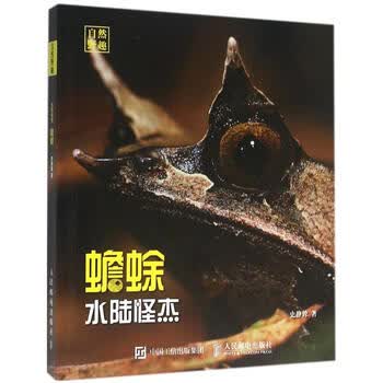 水陆怪杰蟾蜍