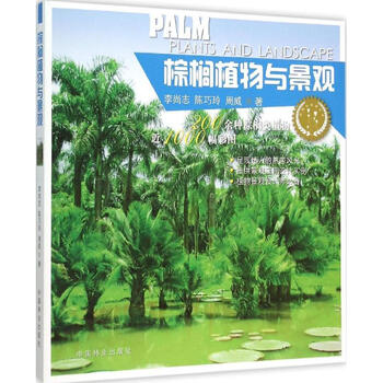 棕榈植物与景观