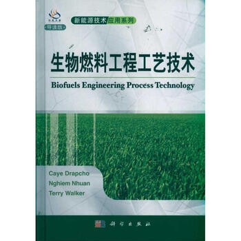 生物燃料工程工艺技术（导读版）